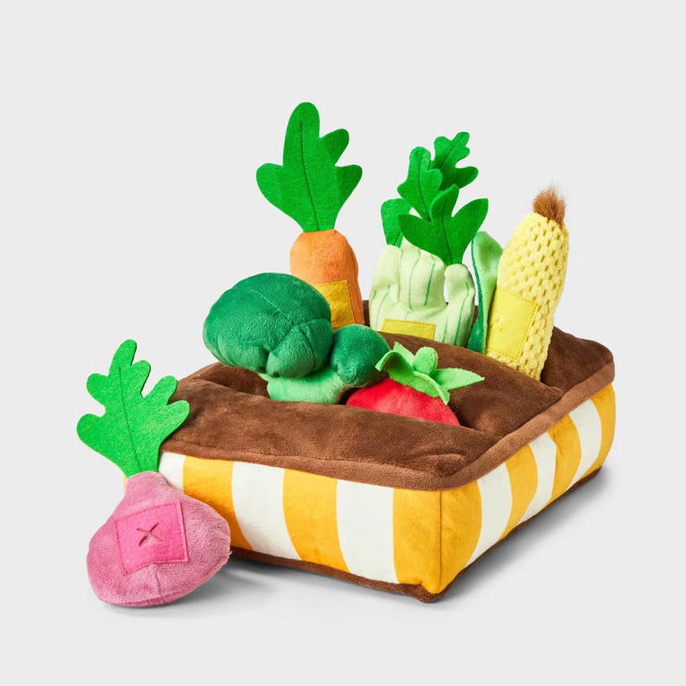 Dogs are obsessed with Target’s plush veggie burrow toy