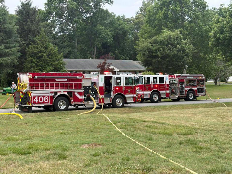 Hanover firefighters rescue small dog from house fire