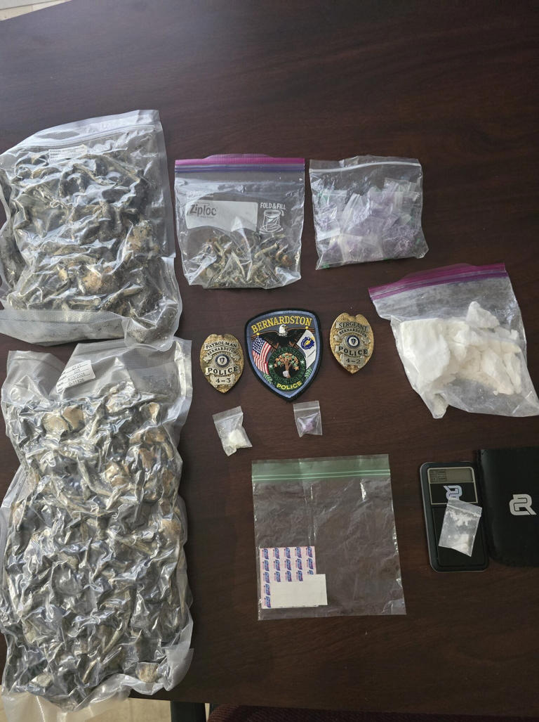 Two arrested for possession heading to music festival