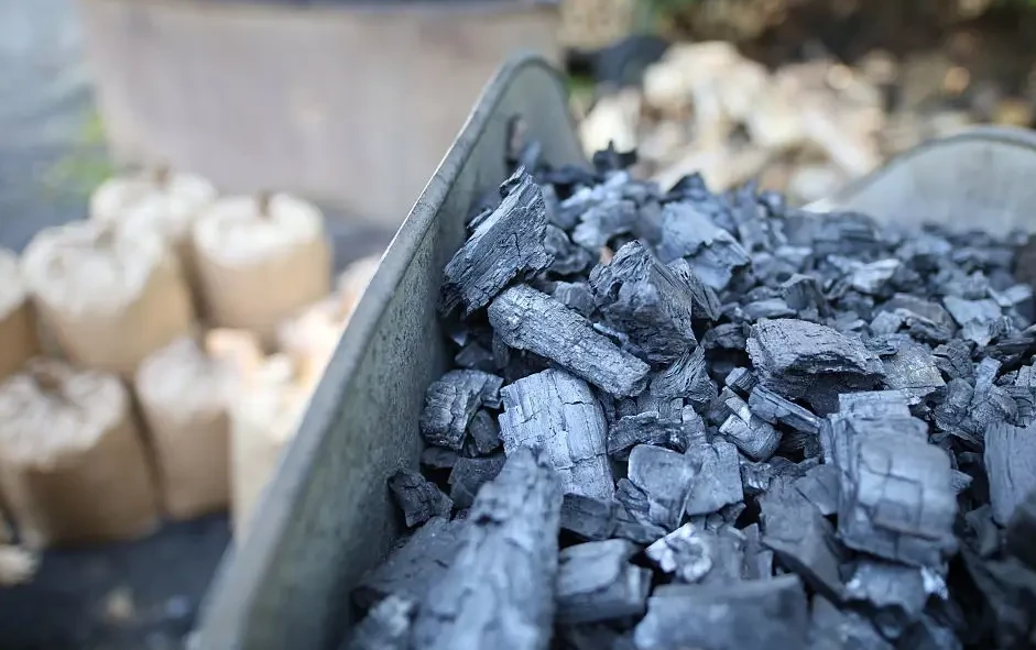 Charcoal grilling secrets every backyard chef needs