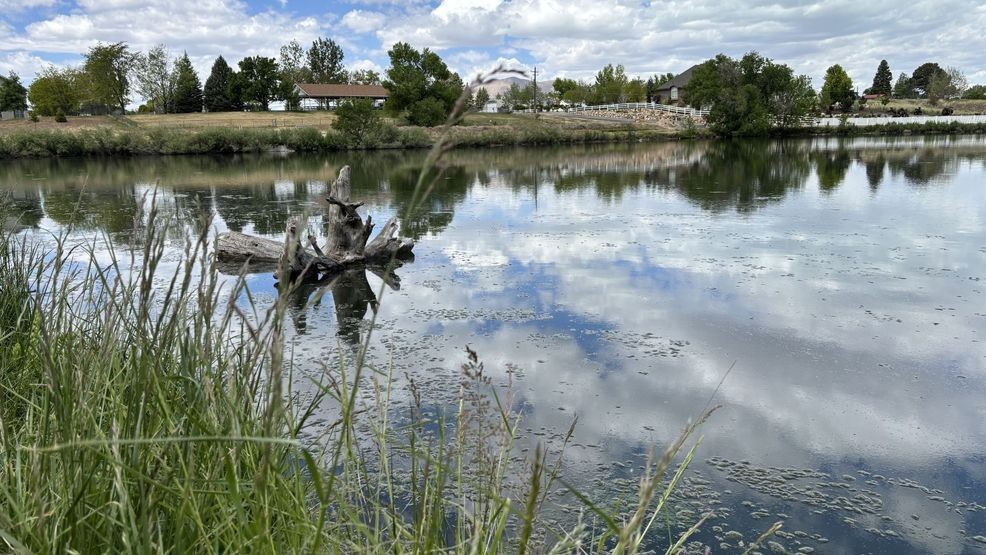 Paperwork mistakes leave two new Utah cities unable to collect taxes