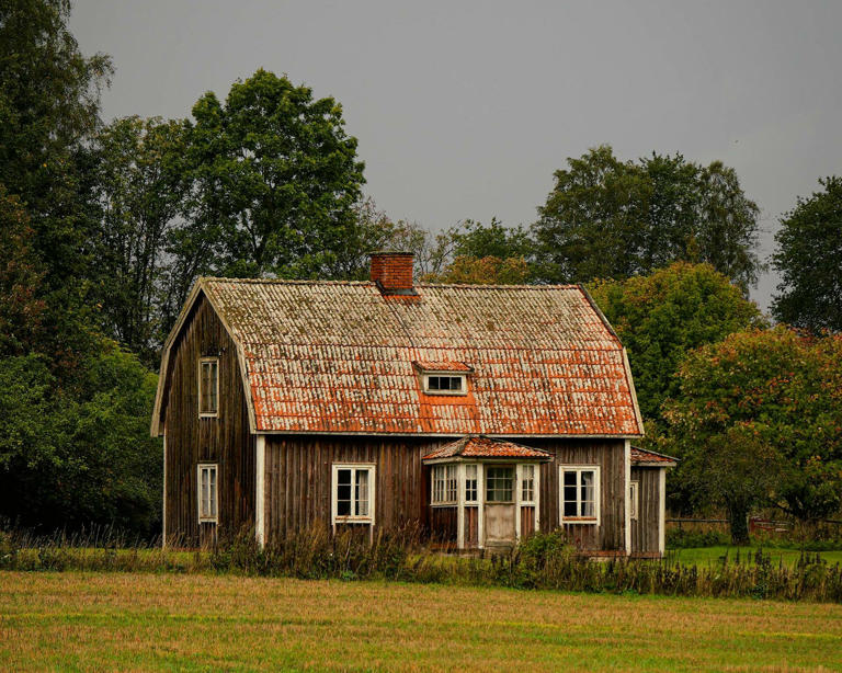 Failed coffee farmstay costs my friend $130,000
