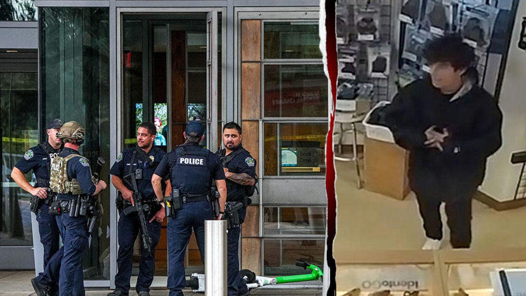 Teen suspect tied to 12 attacks in chaotic Austin shooting spree ...