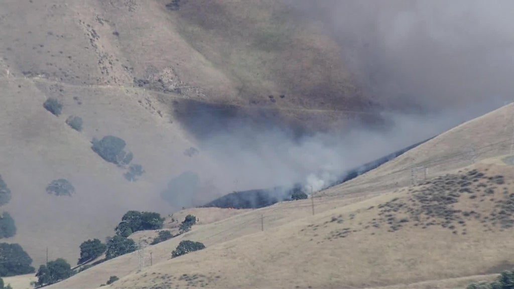 Norton fire burns vegetation in regional preserve near Clayton