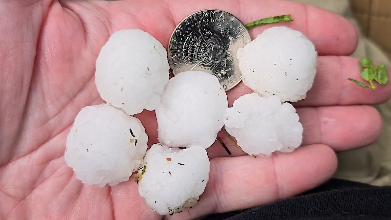 Quarter-sized hail litters the ground in Colorado