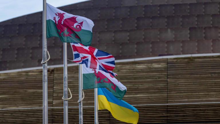 Reform MS says 'virtue signalling' Welsh Parliament should not fly ...