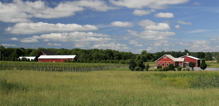 Local growers face heavy crop losses after unusual spring frost events