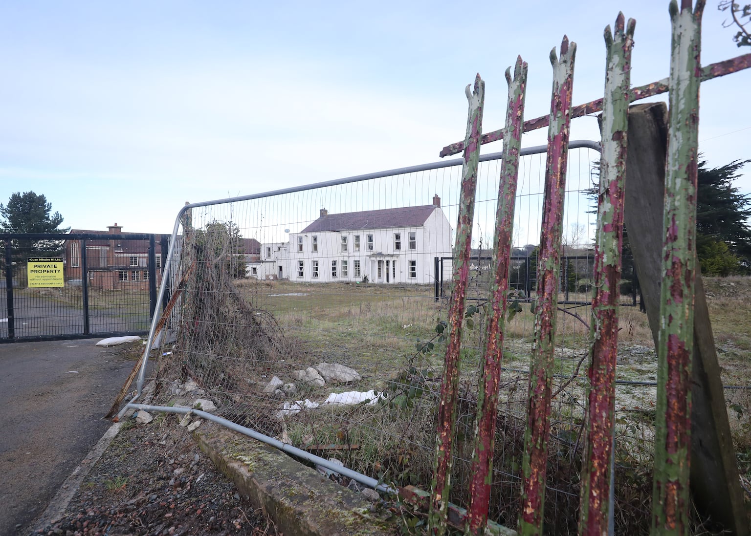 Stormont speaker Edwin Poots’ block on Assembly debate over mother and ...