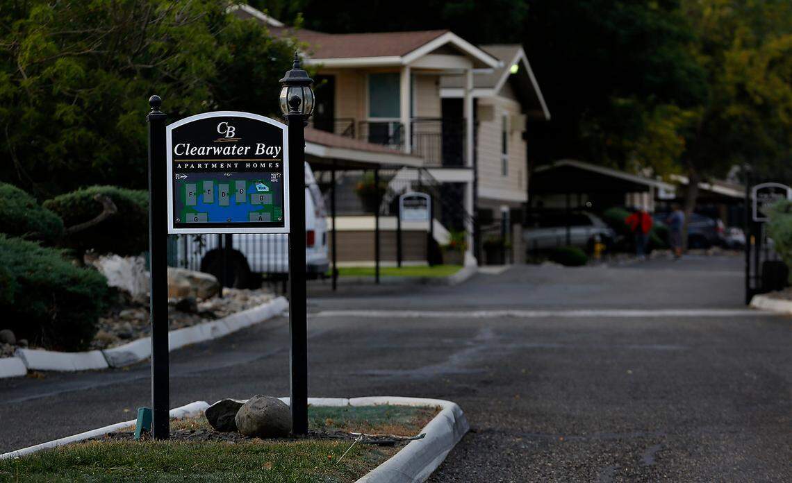 Crying kitten led to grisly discovery of dead cats at Kennewick apartment