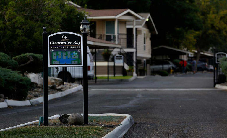 Crying kitten led to grisly discovery of dead cats at Kennewick apartment
