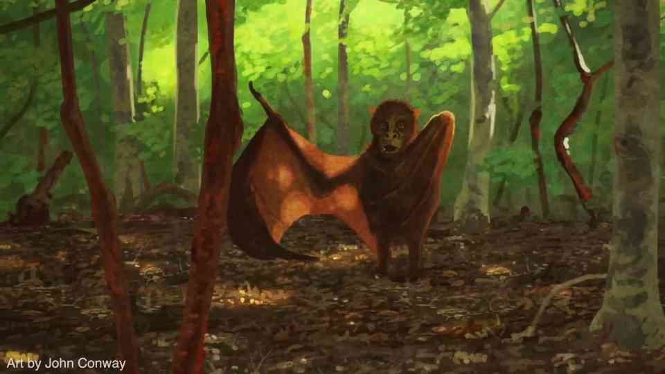 What if Bigfoot was biologically possible? – Cryptids reimagined as ...