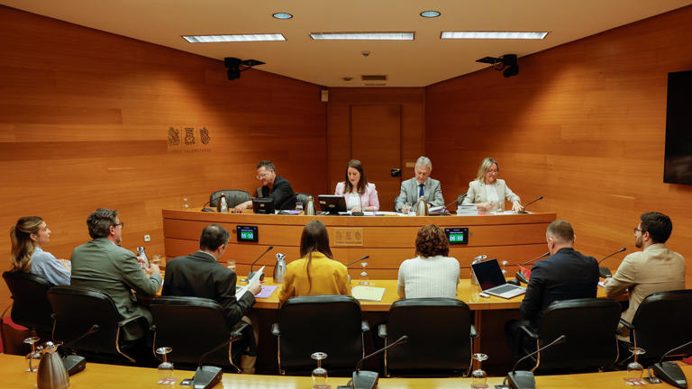 El alcalde Alicante comparecerá en la comisión de investigación de Les ...