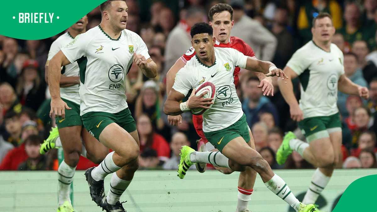 Springboks alignment camp clip sparks fan frenzy as one player steals ...