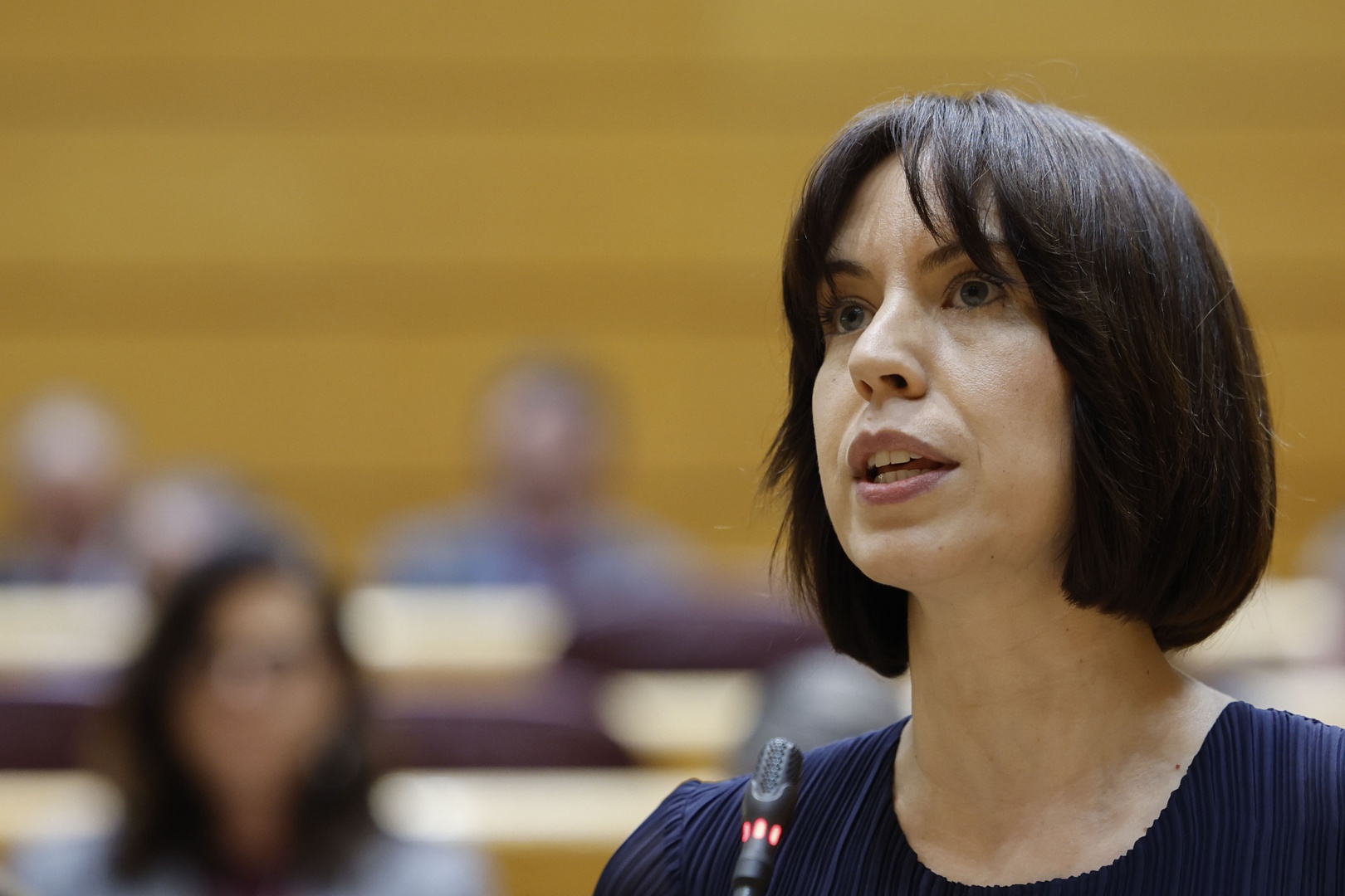 El conseller valenciano de Sanidad se querella contra la ministra Diana ...