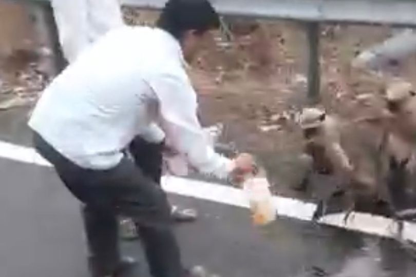 Dehydrated 'pirate' monkeys trap passengers on bus until they hand over ...