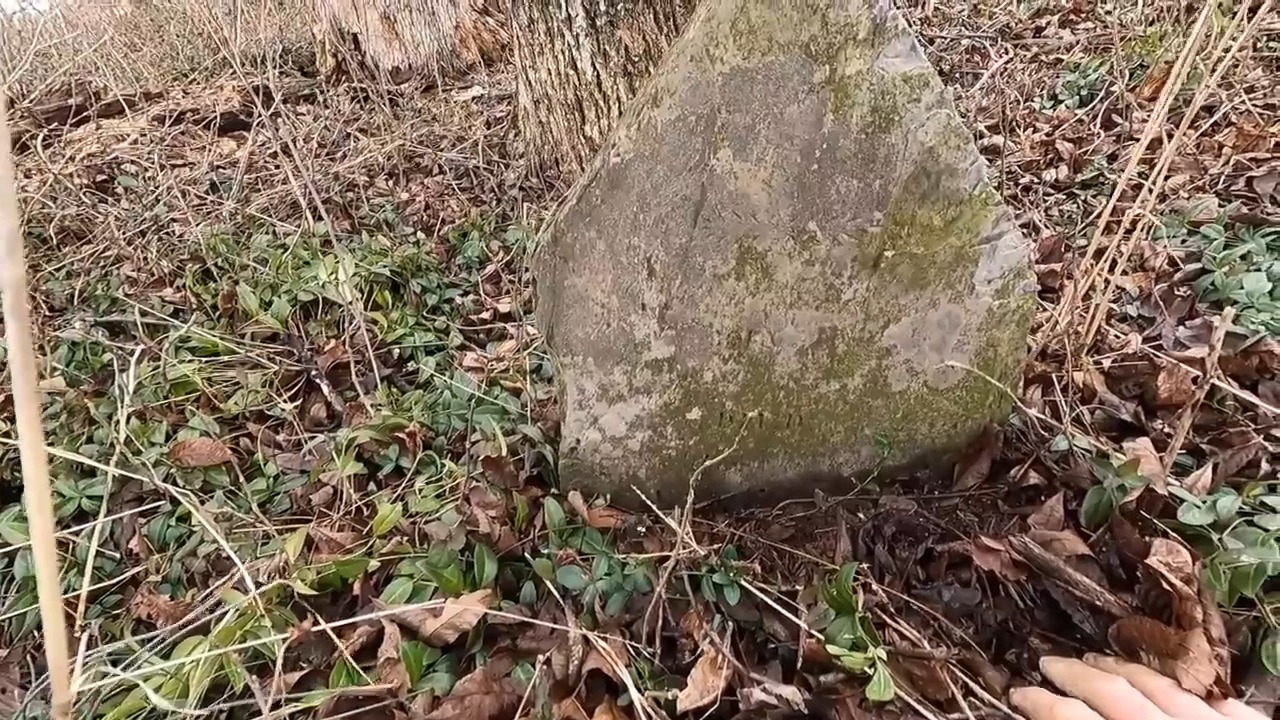 They walked up to an abandoned house - then found a hidden hole beneath ...