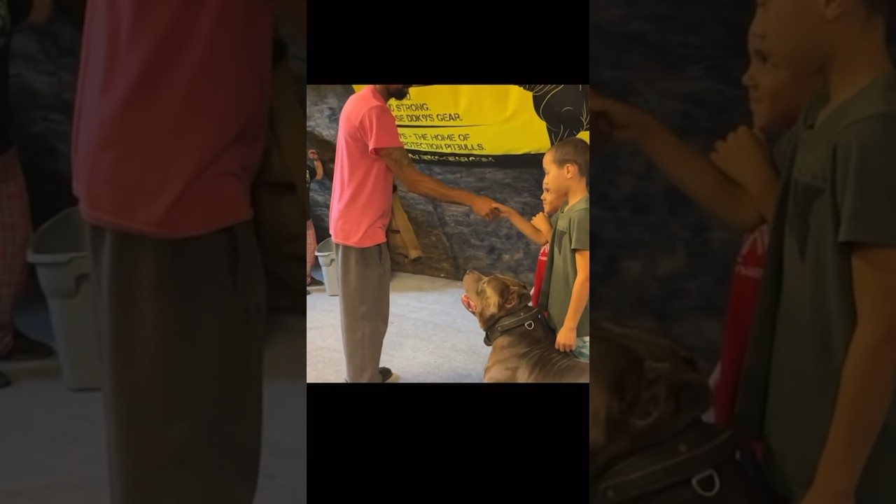 Highly trained pitbulls working alongside young kids