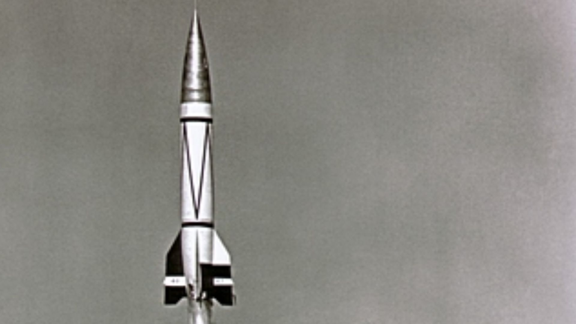 20 facts about the animals we sent to space