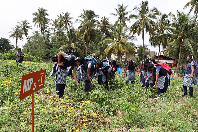 Tamil Nadu government school students to participate in Japan science ...