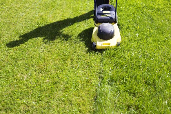 Alan Titchmarsh settles debate on how often you should mow lawn for ...