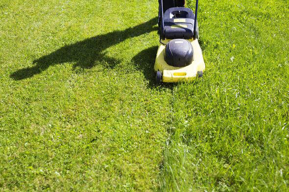 Alan Titchmarsh settles debate on how often you should mow lawn for ...