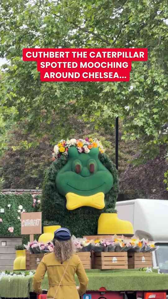 Gaint 'Cuthbert the Caterpillar' spotted mooching around London