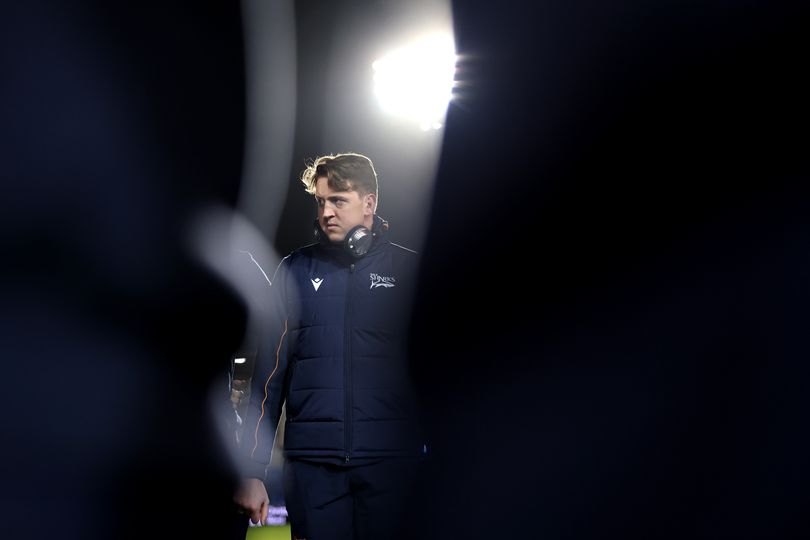 Scarlets line up move for South African enforcer as recruitment gathers ...
