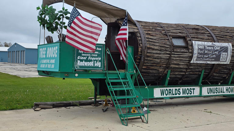 Cedarburg man to turn ancient redwood log into roadside attraction