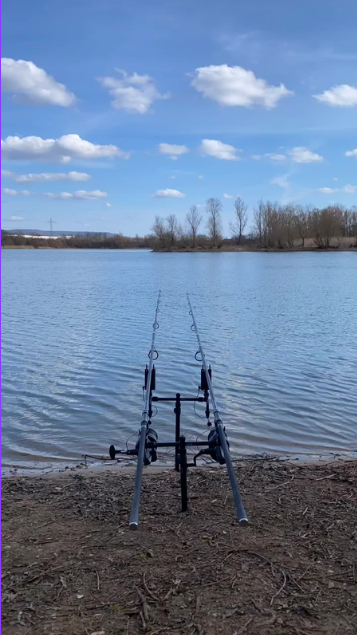 Giant carp run stuns fishing community