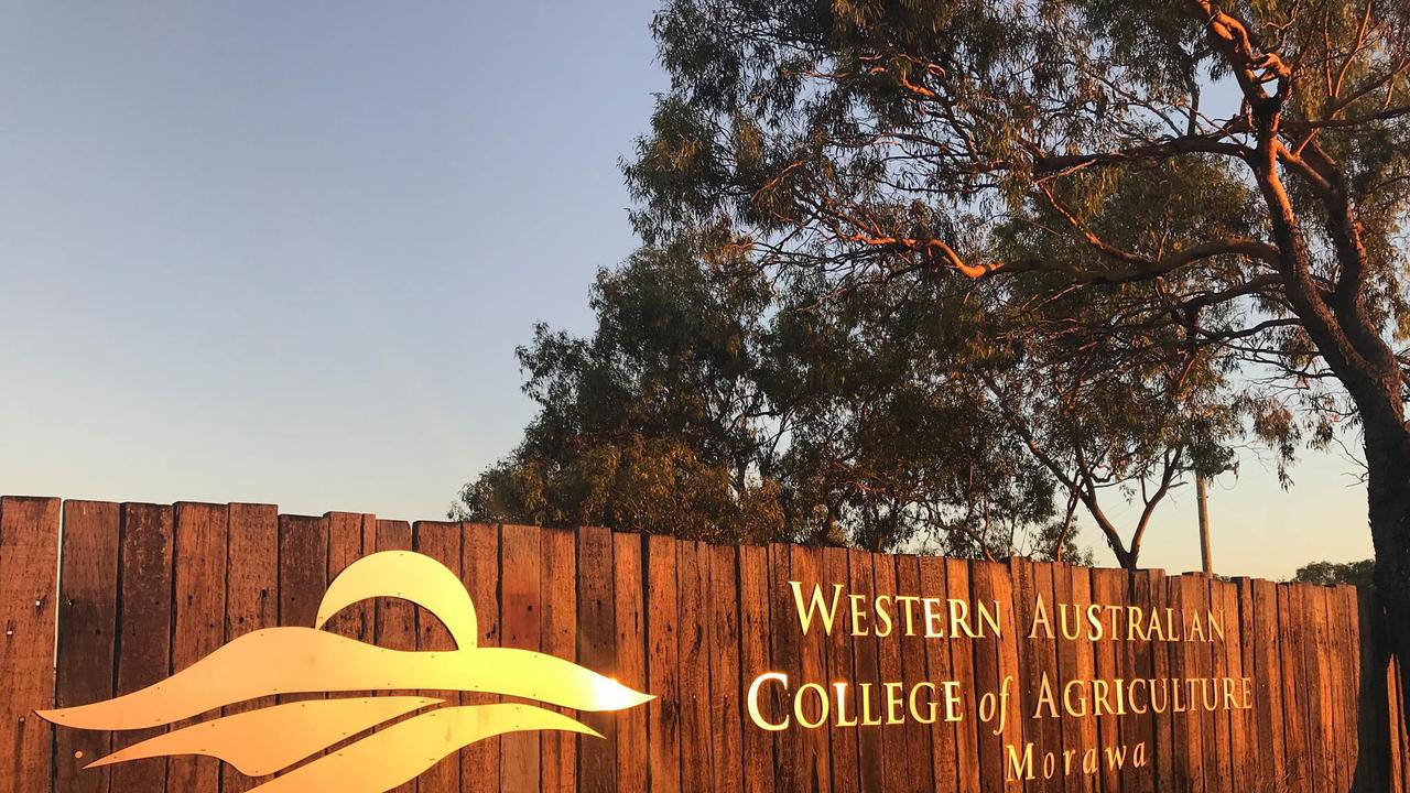 Aussie school closes over gross bait blunder