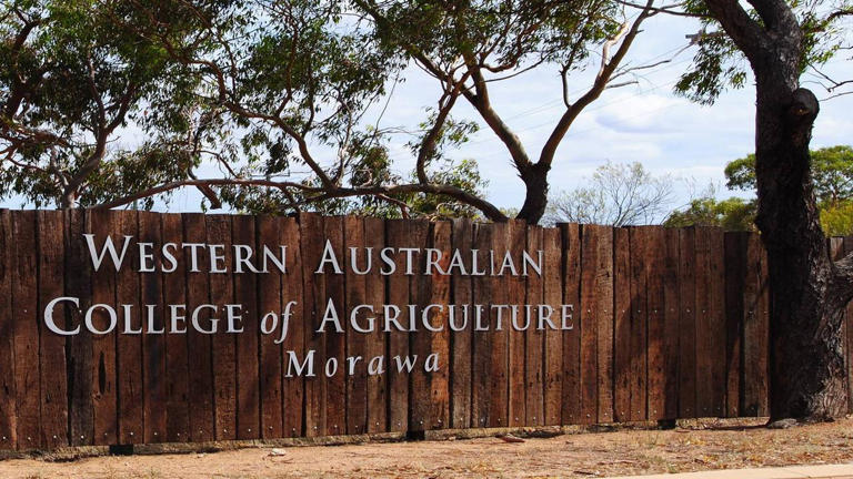 Aussie school closes over gross bait blunder