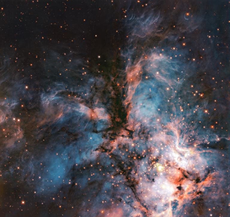 RCW 36: A bird of prey sails away