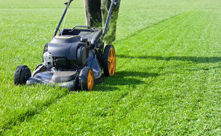 Why Flymo hover mowers still beat wheeled models on awkward lawns