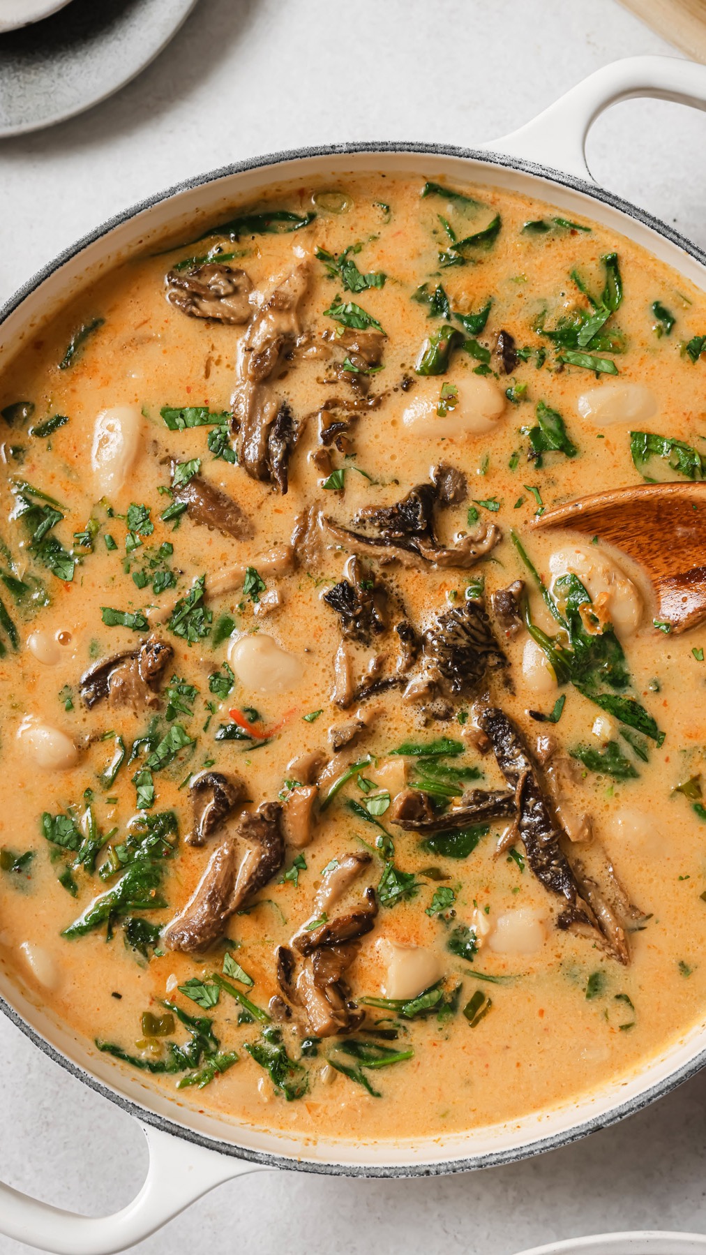 Thai red curry with white beans and mushrooms