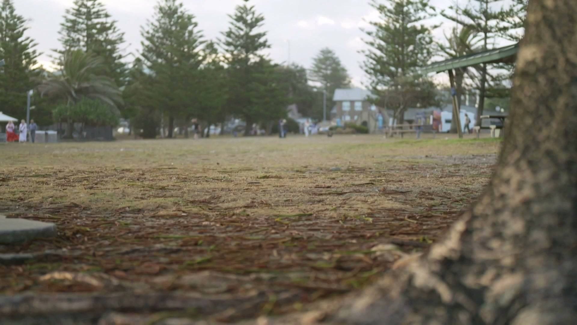 Counterterrorism funding significantly fell in lead up in Bondi attack