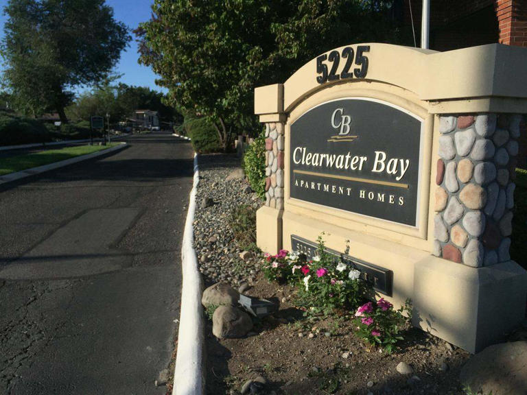 Crying kitten led to grisly discovery of dead cats at Kennewick apartment