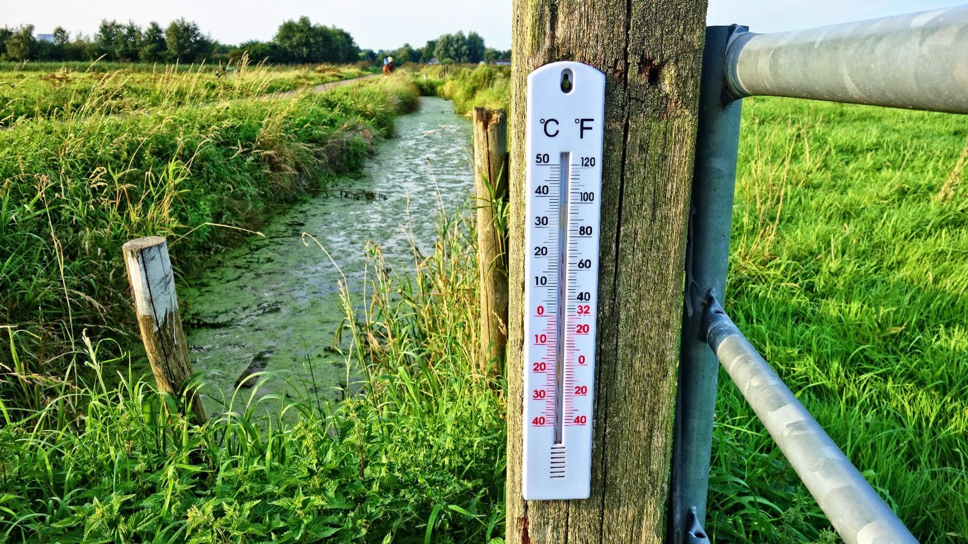 Prognoza IMGW na lato 2026. Temperatury w całej Polsce powyżej normy