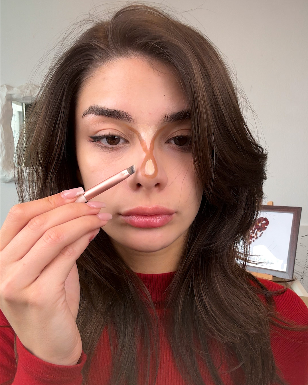Diseñando la nariz perfecta 👃
