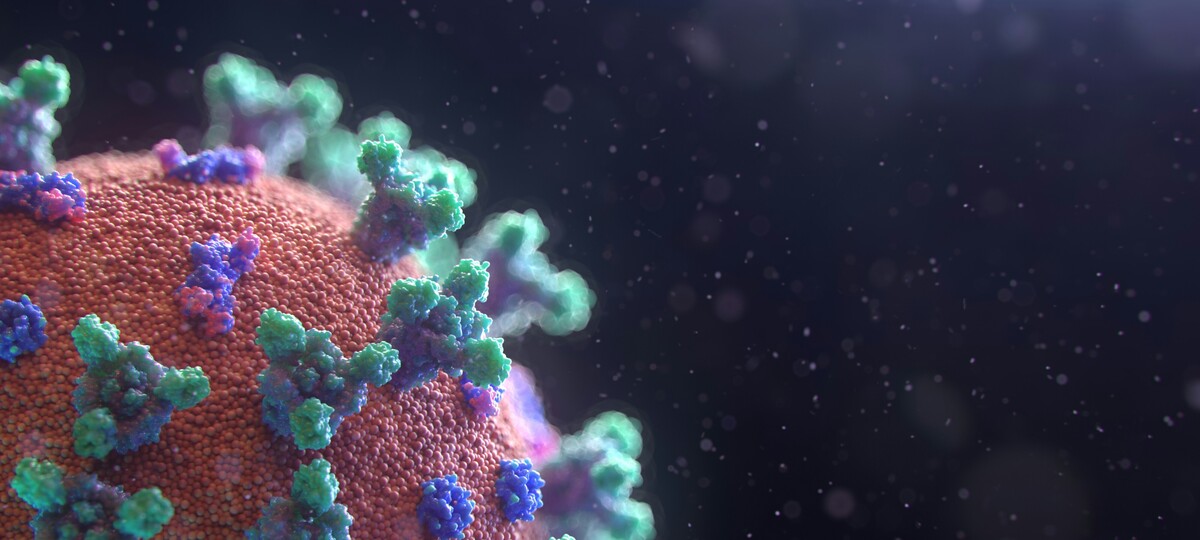 Defenseless against a deadly virus, again