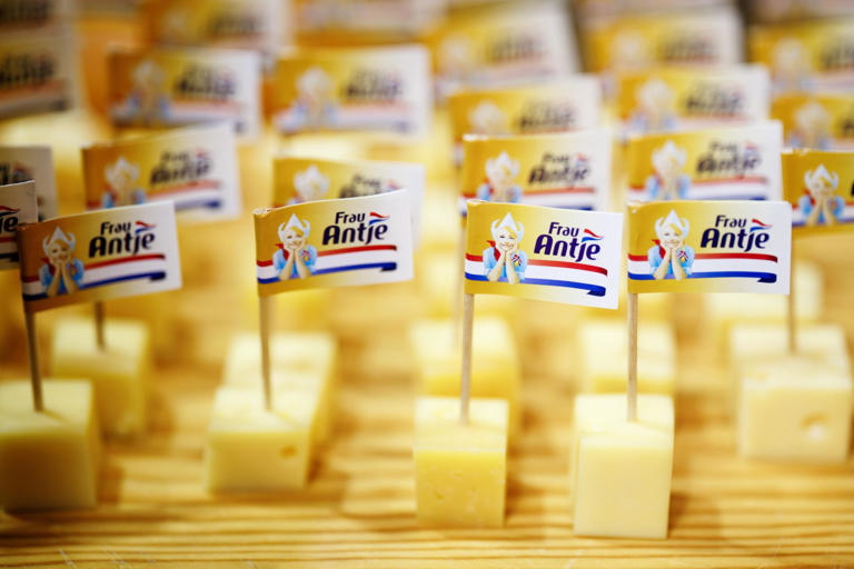 Wie Pilze das Ei für den Kuchen produzieren