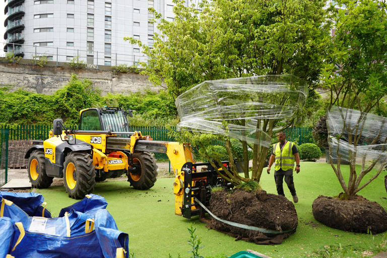 Barking up the right tree: Monty Don’s garden brings joy to dogs after ...