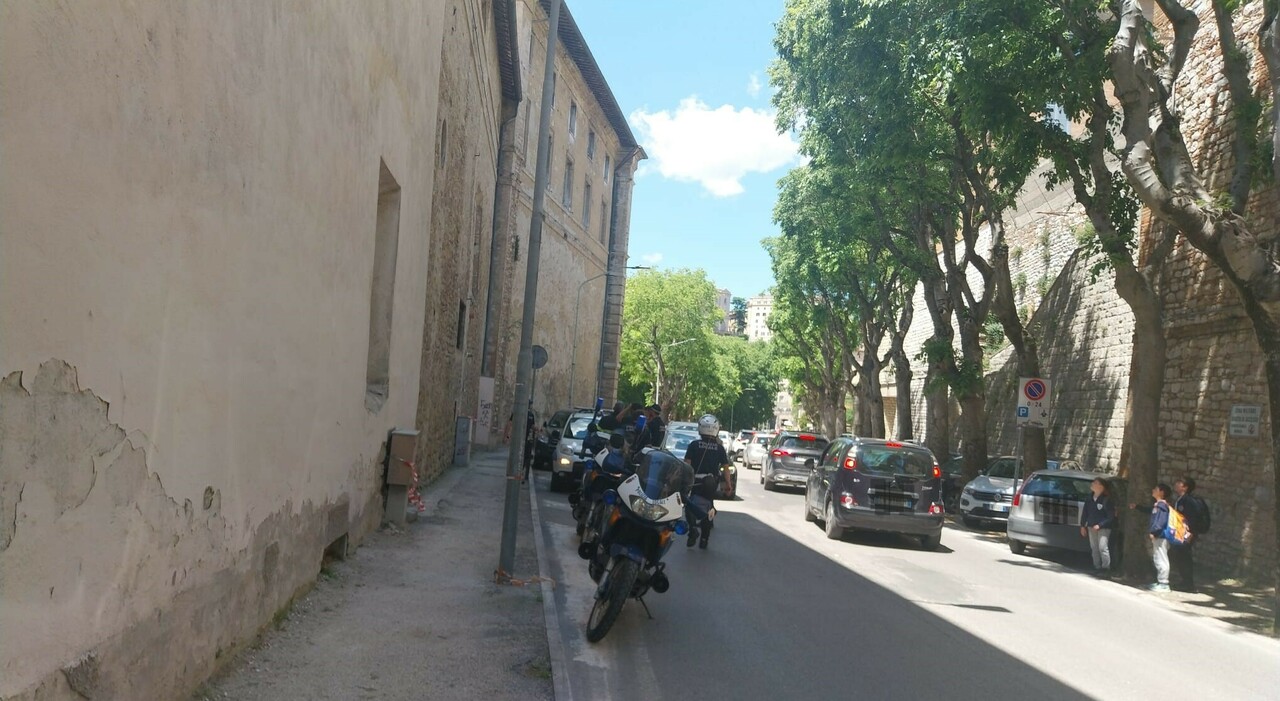 Perugia, l'ape regina che voleva una roulotte: fa l'alveare su un ...