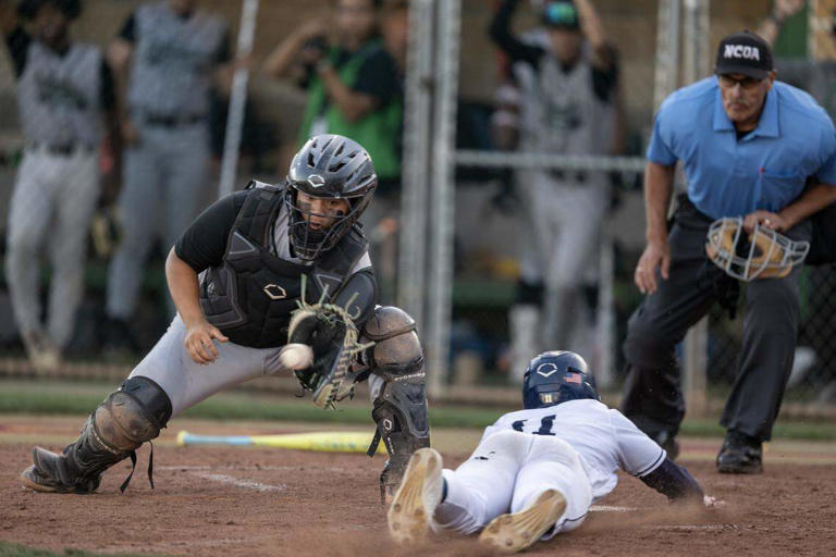 Herd is the word: Elk Grove baseball thunders to record 12th CIF ...