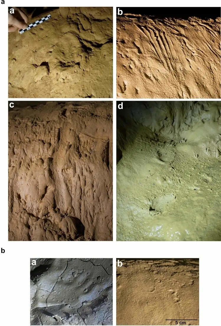 In 2000, an amateur explorer found a hidden cave in France filled with ...
