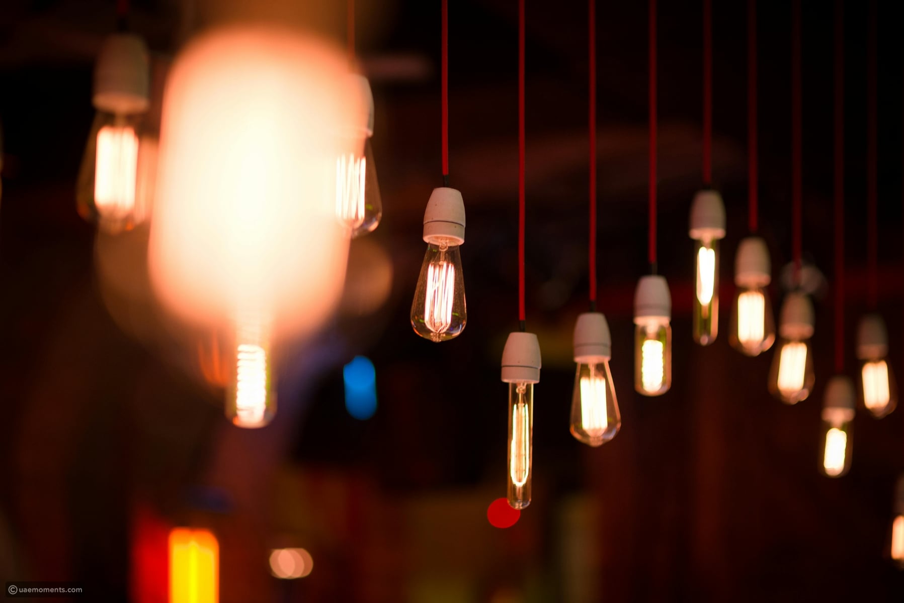 Why incandescent light bulbs are making a comeback