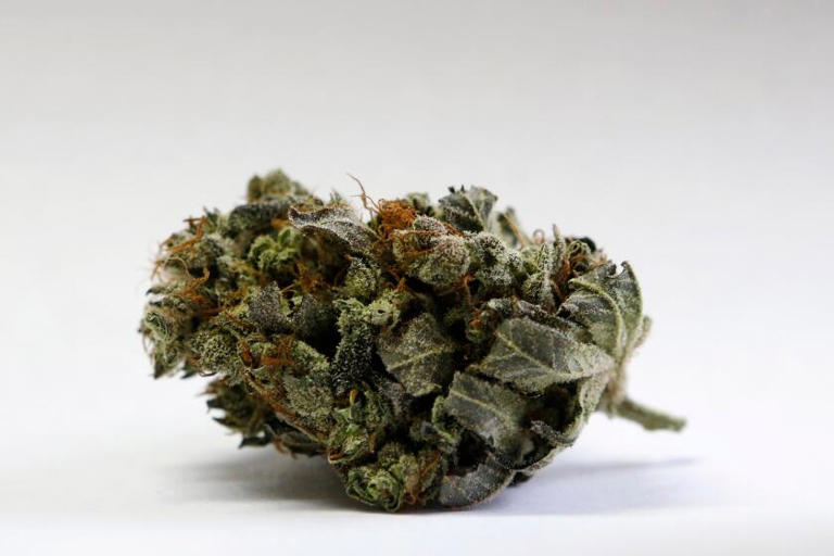 It's OK to pack medical marijuana on a flight sometimes. What you need ...
