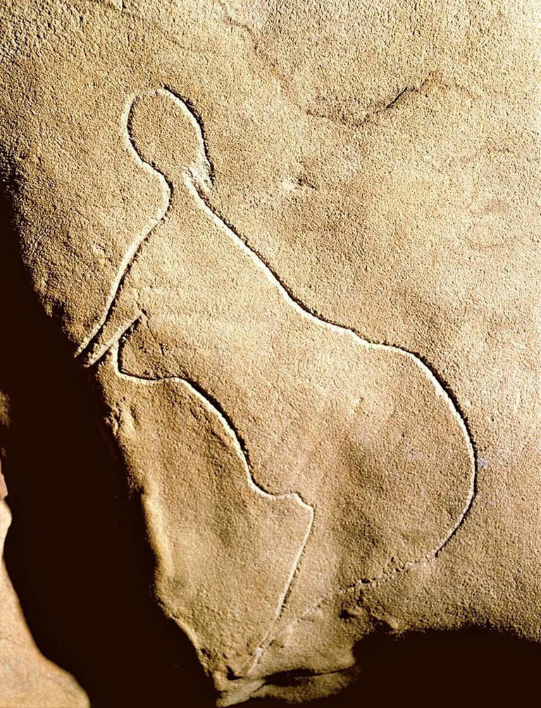 In 2000, an amateur explorer found a hidden cave in France filled with ...