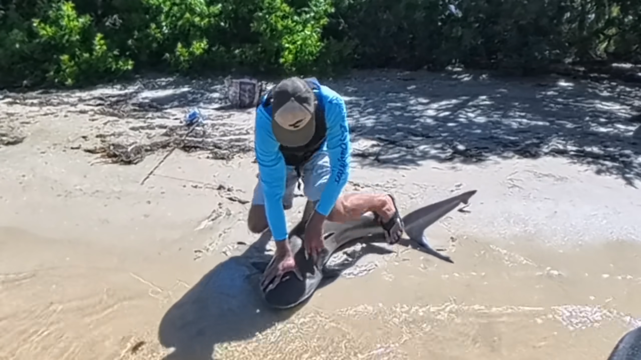 I caught a shark - then ate it