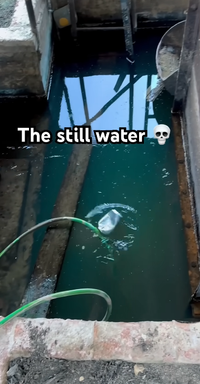 The Stillest Water I Ever Seen