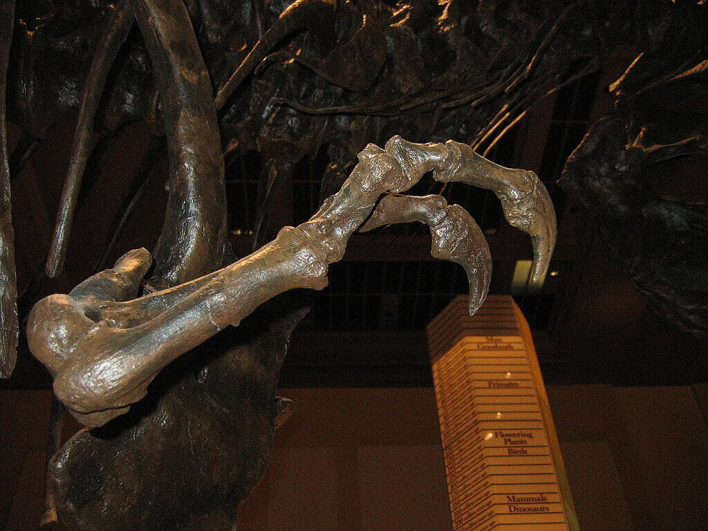 Scientists have a new idea for why T rex had such tiny arms